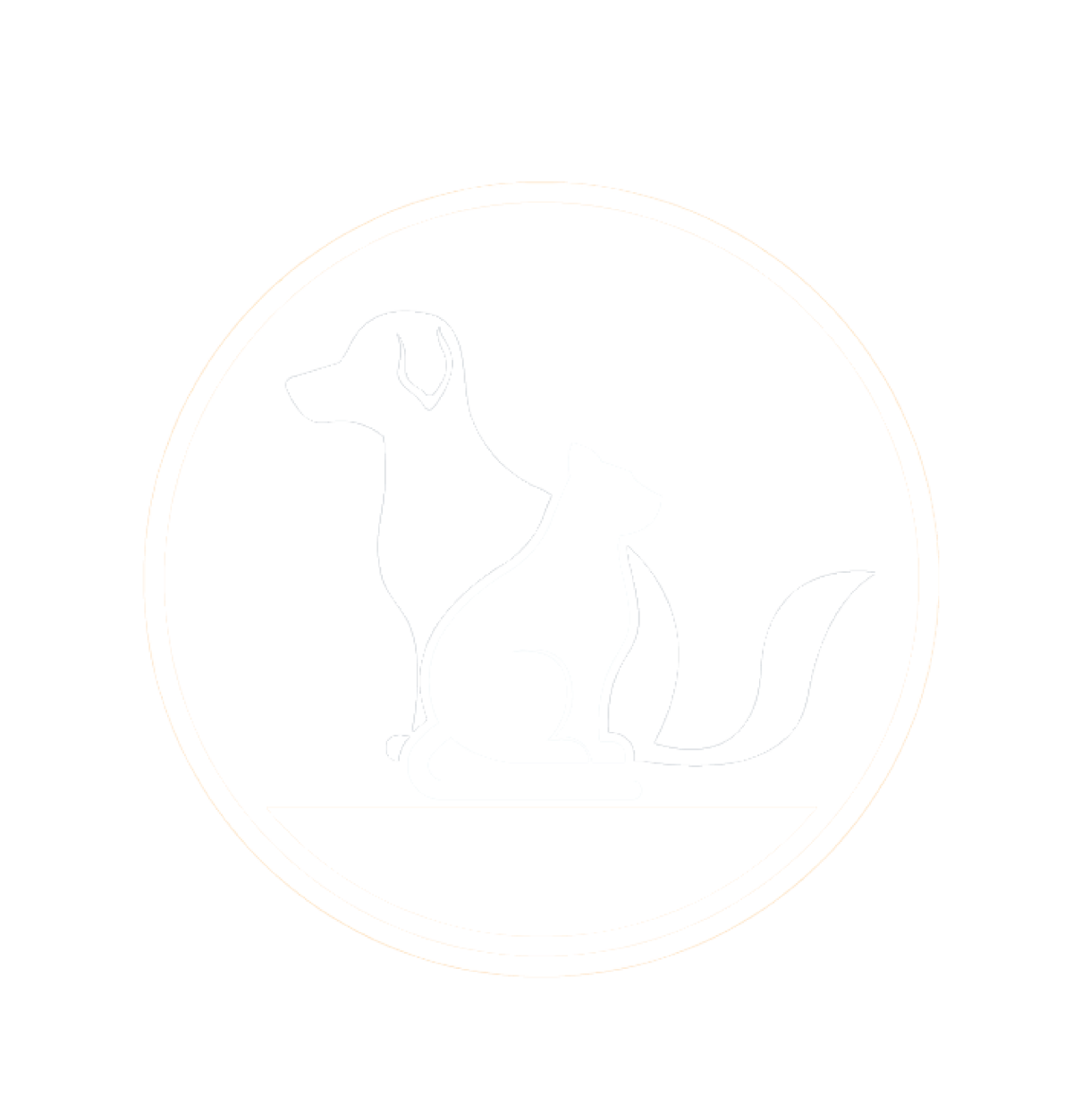 Dog Boarding: Everything You Need to Know - Porter Road Pet Care